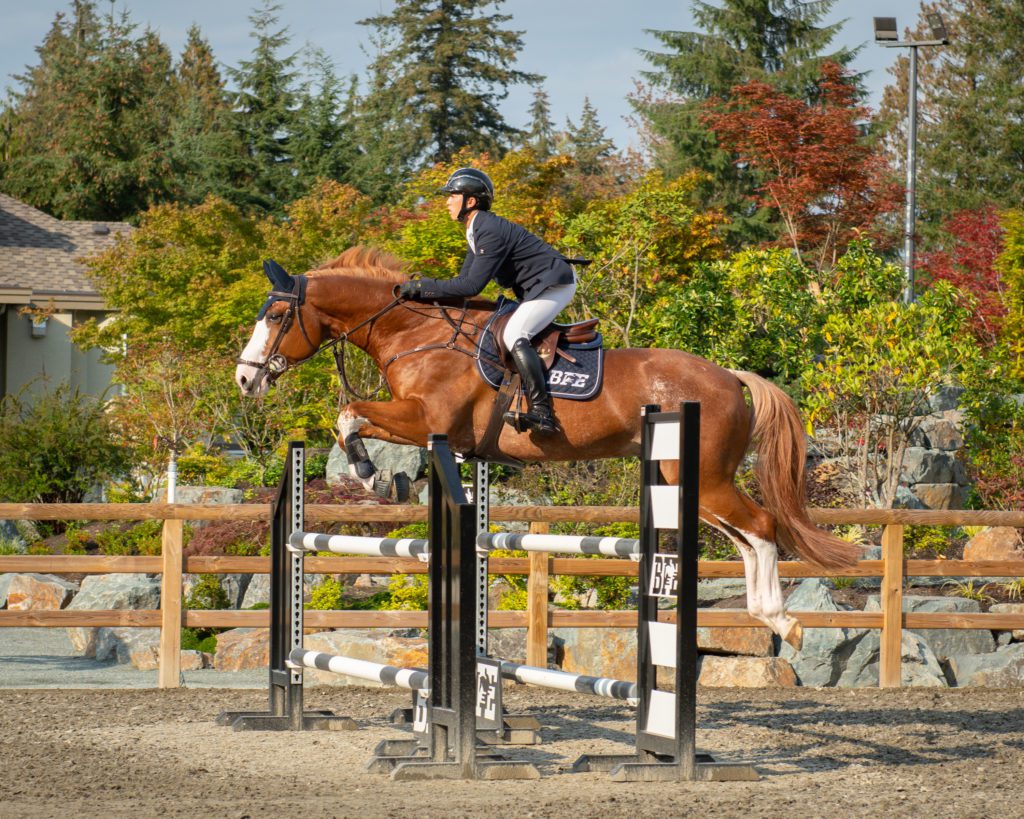 Home | BFE Equestrian